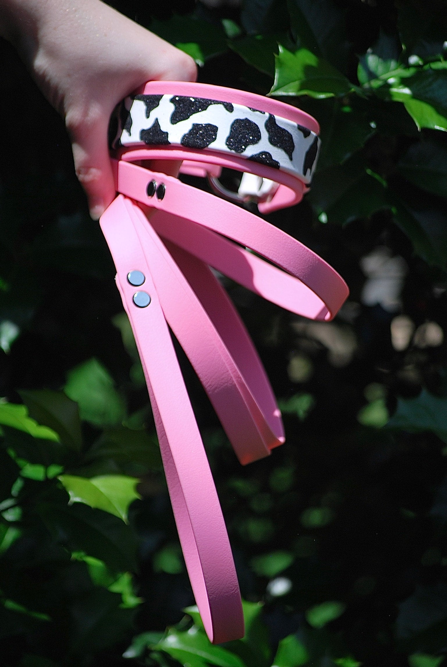 Cow print French martingale | Mountain Dog Gear